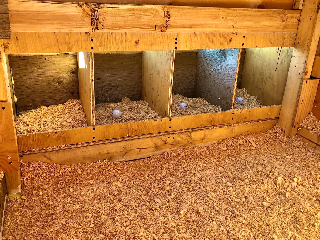 Luxury Chicken Tractor on a BUDGET – Old House on the Prairie