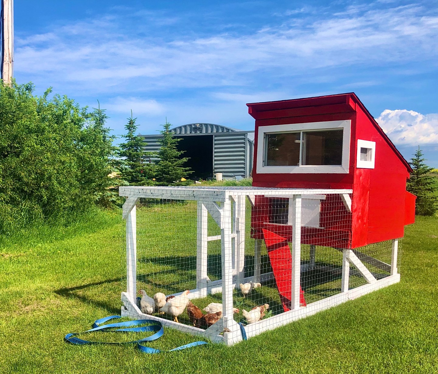 Luxury Chicken Tractor on a BUDGET – Old House on the Prairie