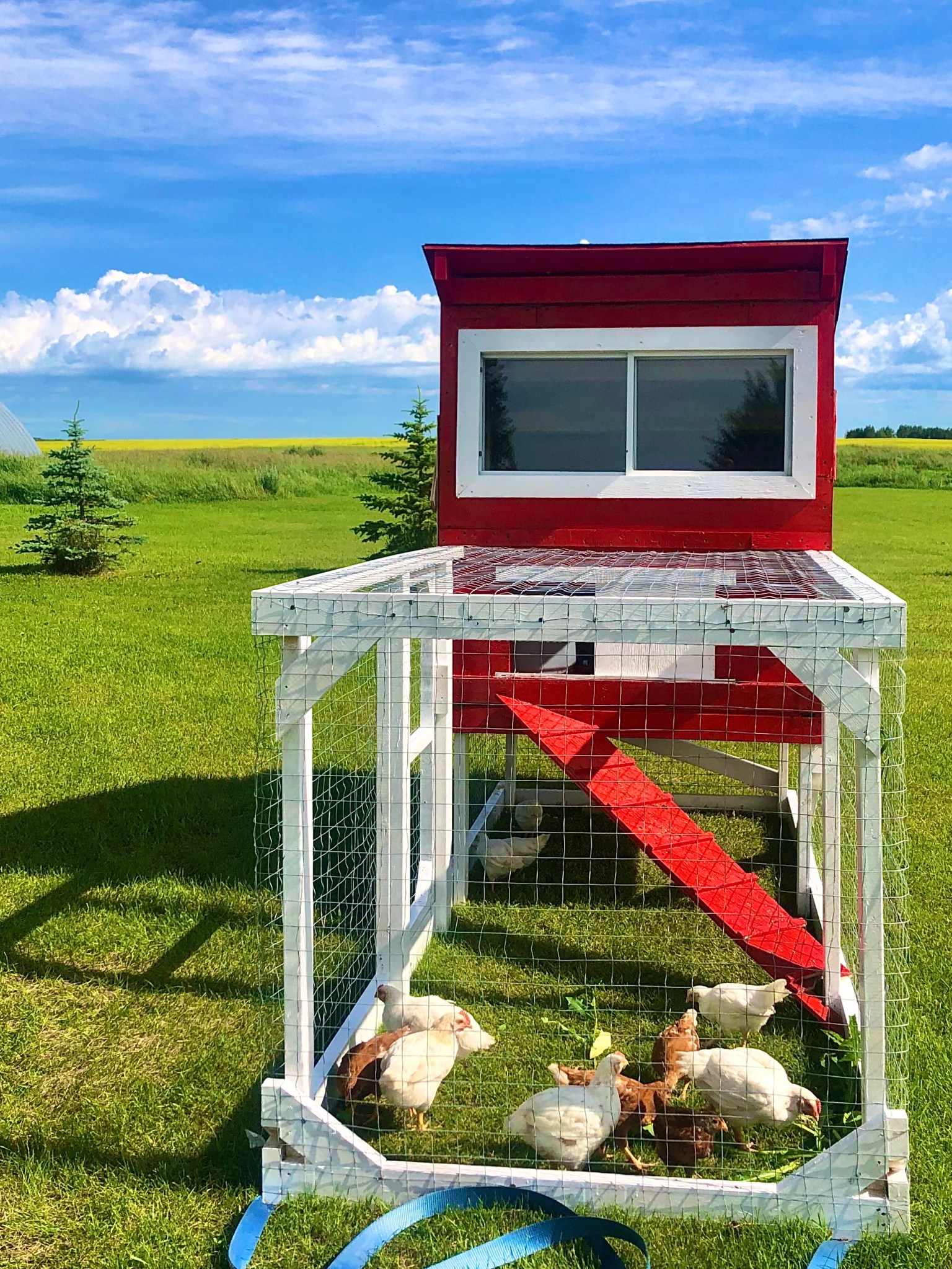 Luxury Chicken Tractor on a BUDGET – Old House on the Prairie