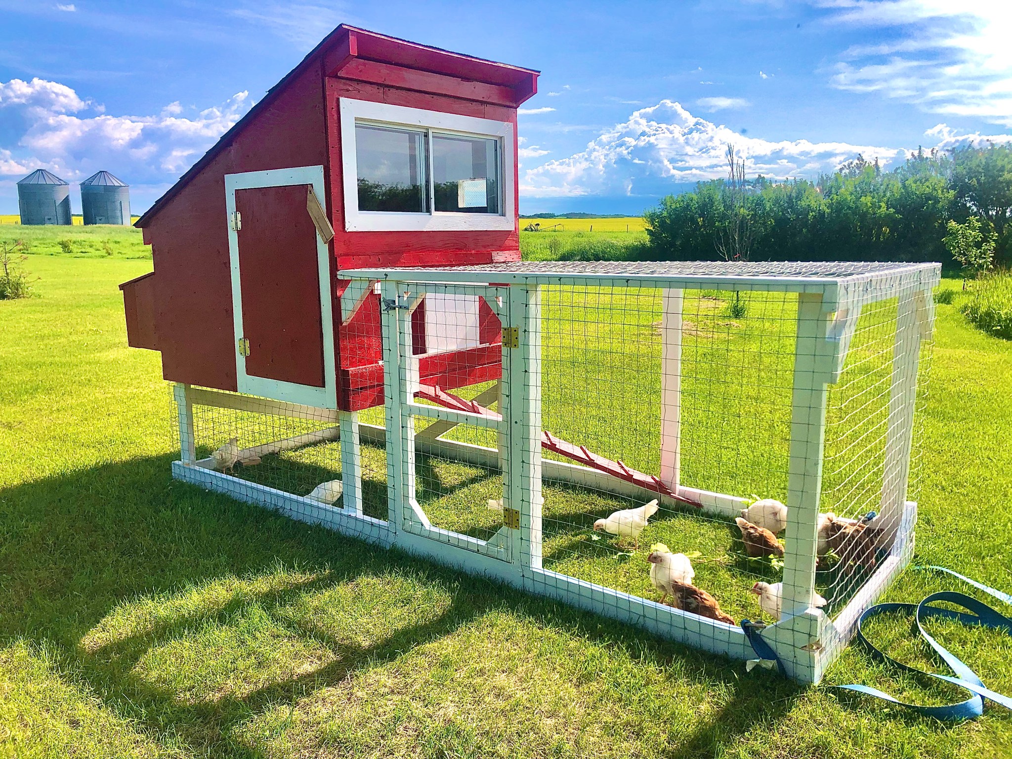 Luxury Chicken Tractor on a BUDGET – Old House on the Prairie